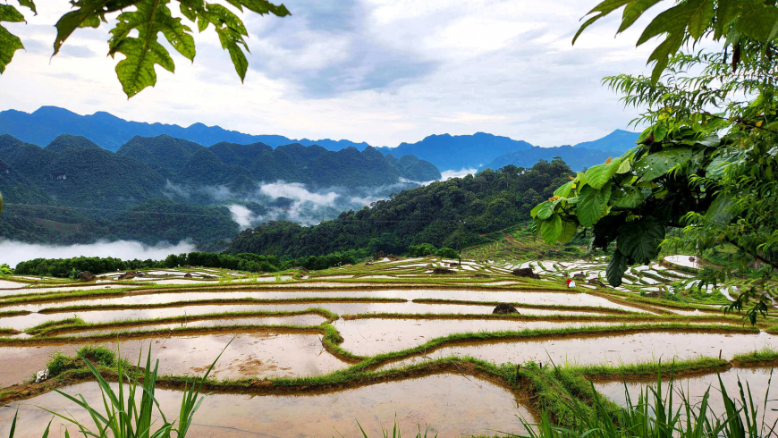 Discover Pu Luong: Thanh Hoa’s Hidden Paradise in Vietnam - Vietnam Travel Information